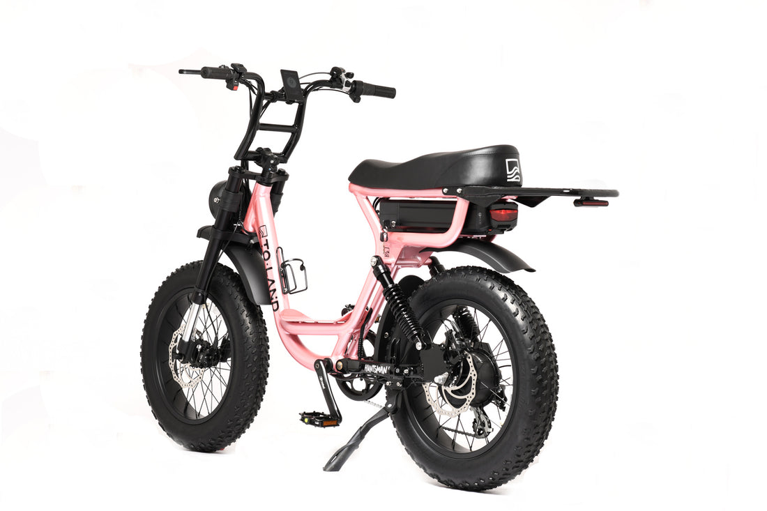 TOLAND HUNTSMAN ST E-BIKE, 500W, 52V 15AH 780WH BATTERY
